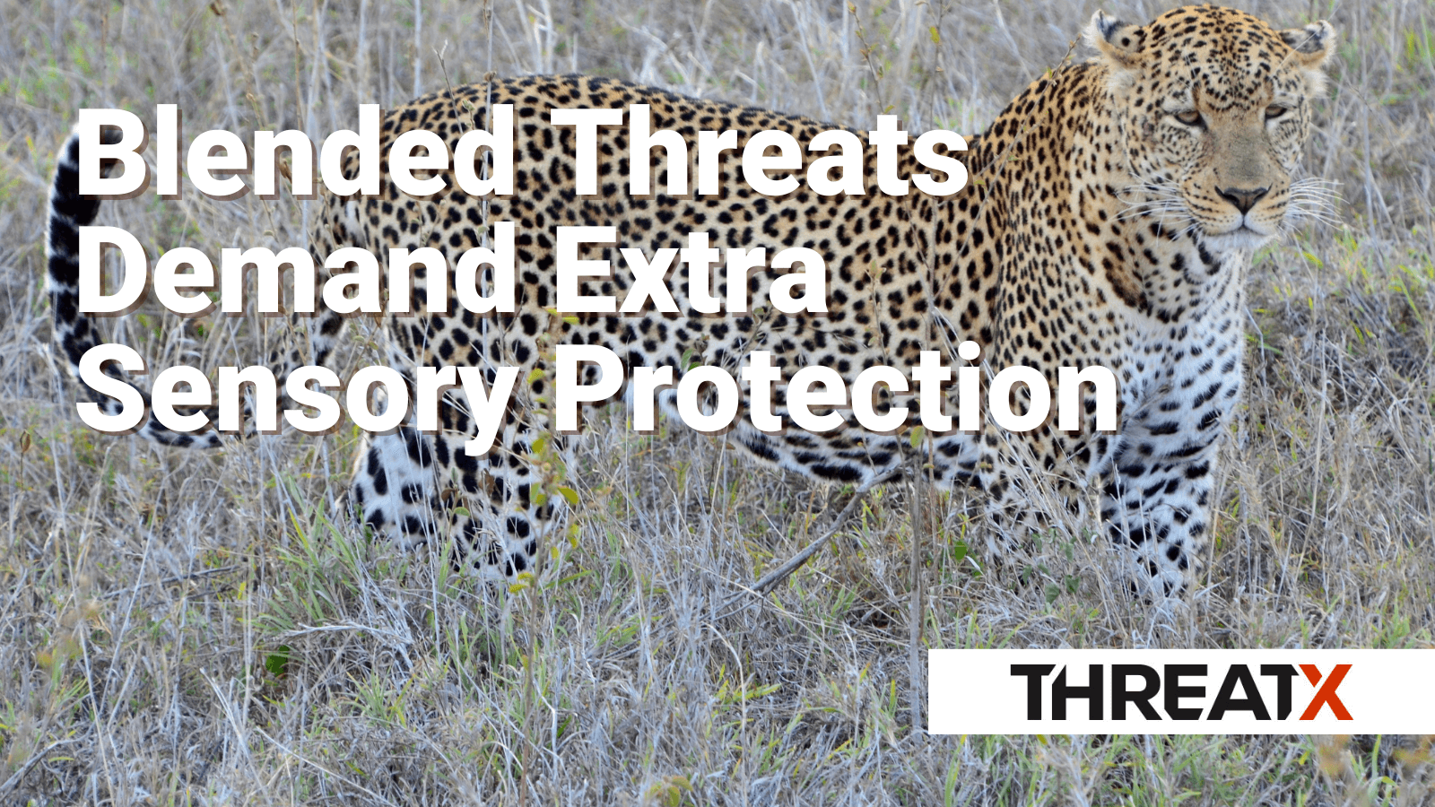 Winning the battle against blended threats - ThreatX